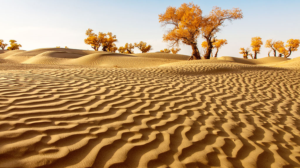 Five Obscure Deserts – JIFU